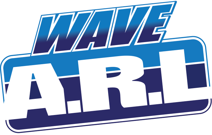 ARL – Adult Recreational League – Adult Co-Ed Hockey located in ...